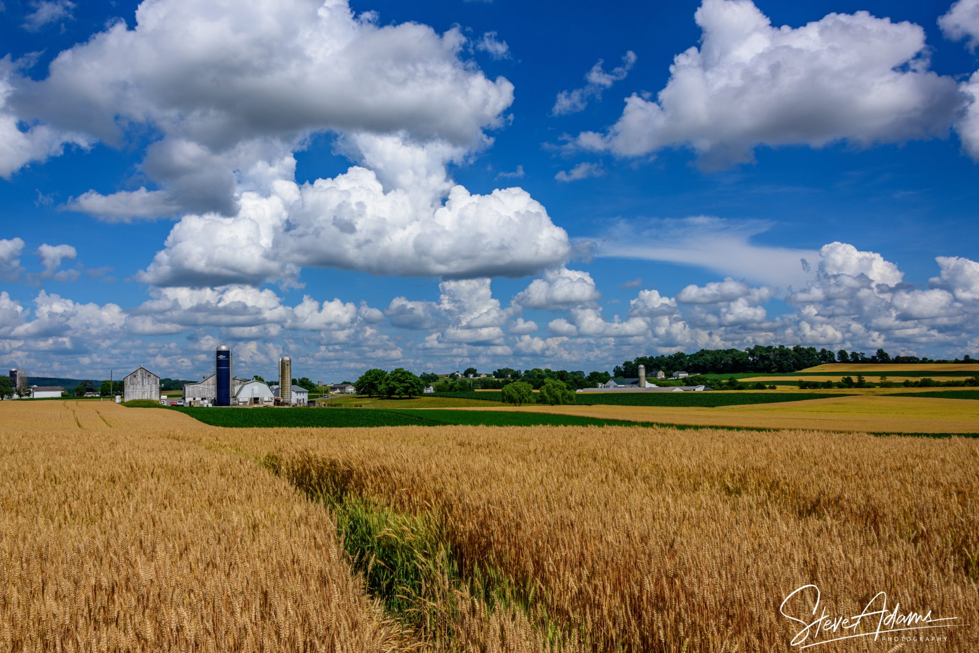 Landscape Gallery | Steve Adams Photography